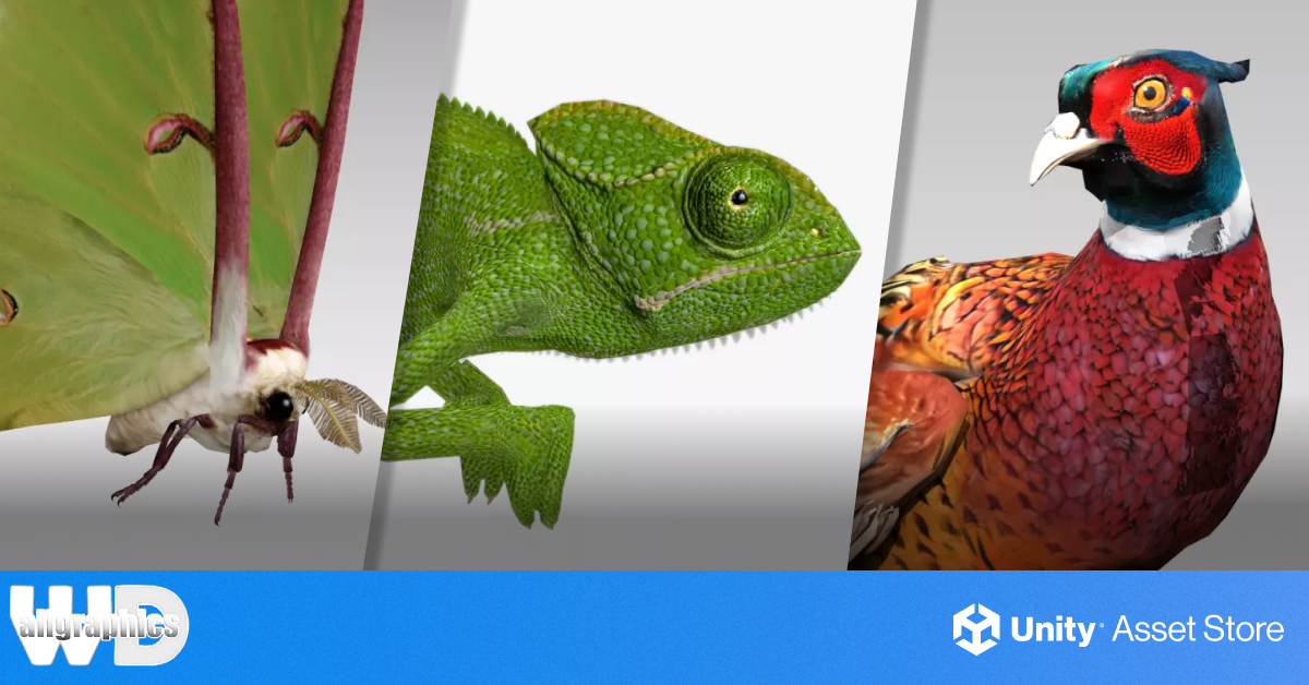 Publisher Sale – 50% off WDallgraphics - Asset Store